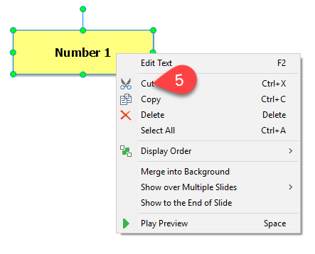 Copying, Cutting and Pasting Objects - Atomi Systems, Inc.