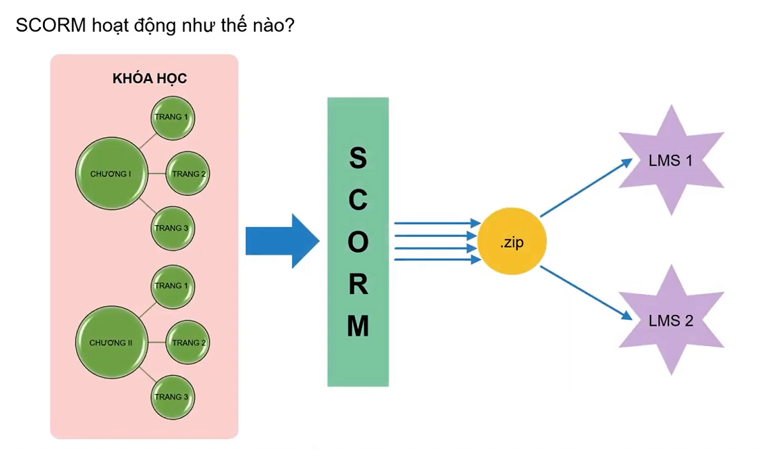 SCORM Và xAPi (Tin Can API): Định Nghĩa Và Sự Khác Biệt