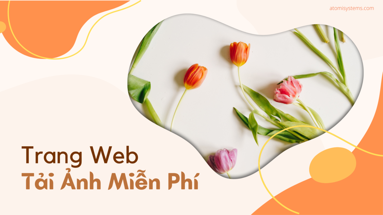 Những Trang Web Tải Ảnh Miễn Phí Chất Lượng Cao