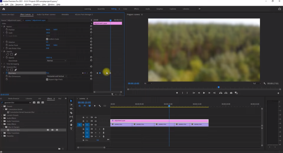 Best Blur Tool: Top 7 for Video Editing - Atomi Systems, Inc.