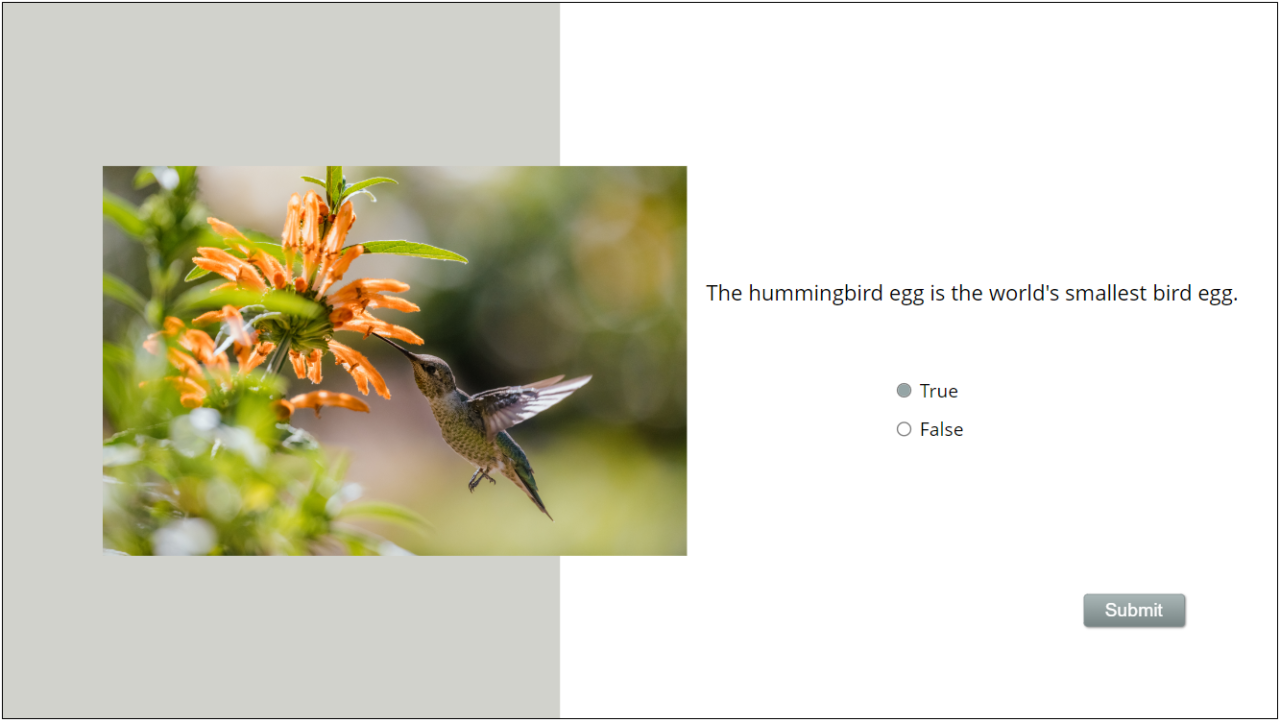 How to Create a True or False Quiz in ActivePresenter 9